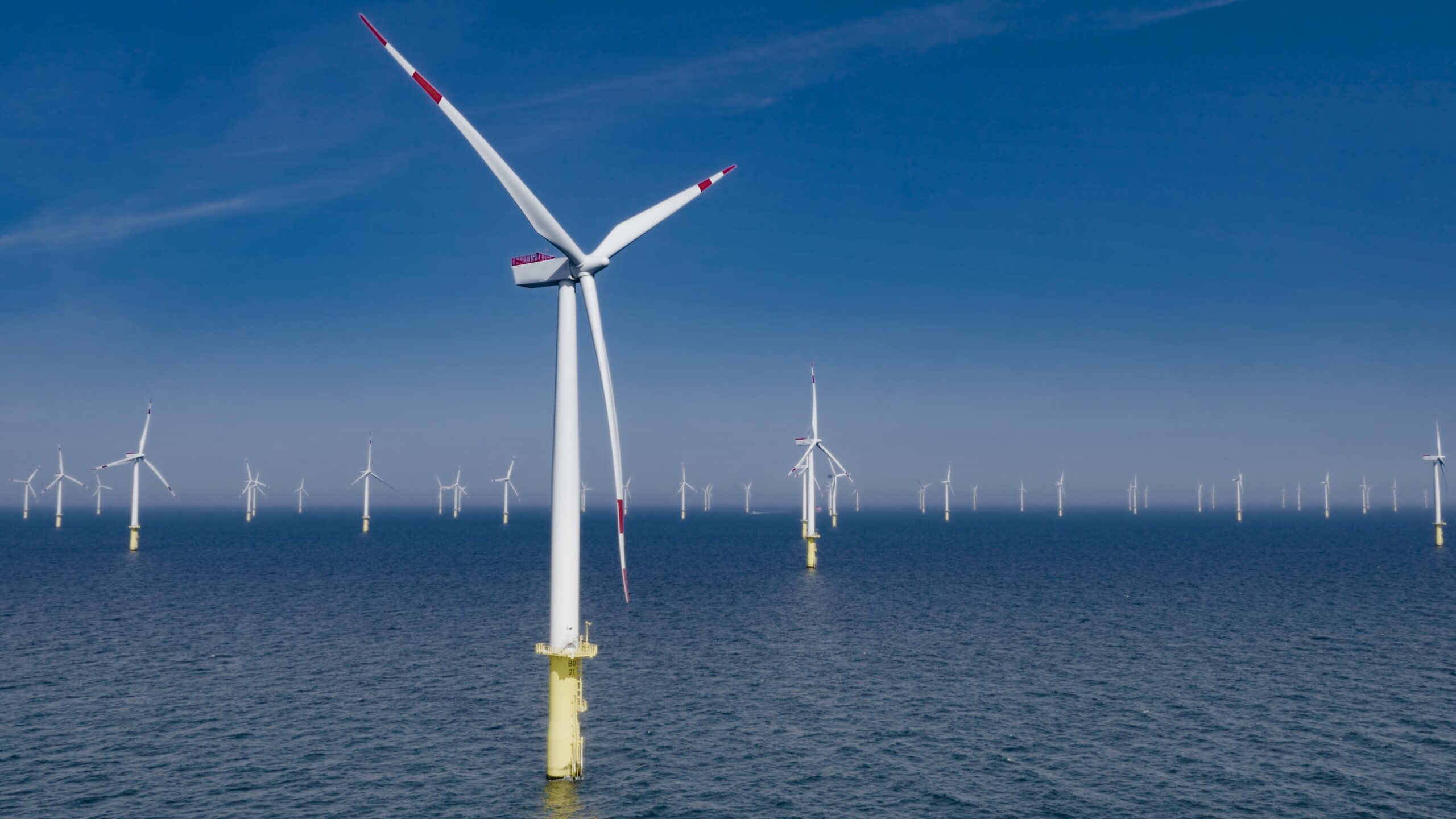 ProCon Wind Energy enters collaboration with LEAD THE TALENT to further improve company ...